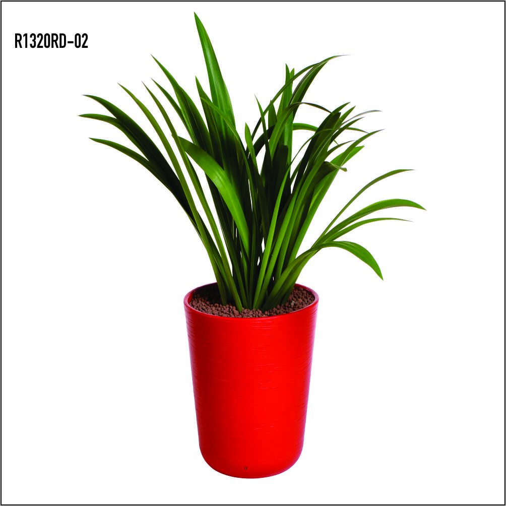Buy Sereno Bello Plastic Flower Pot Round Planter (13 x 20) in Red ...