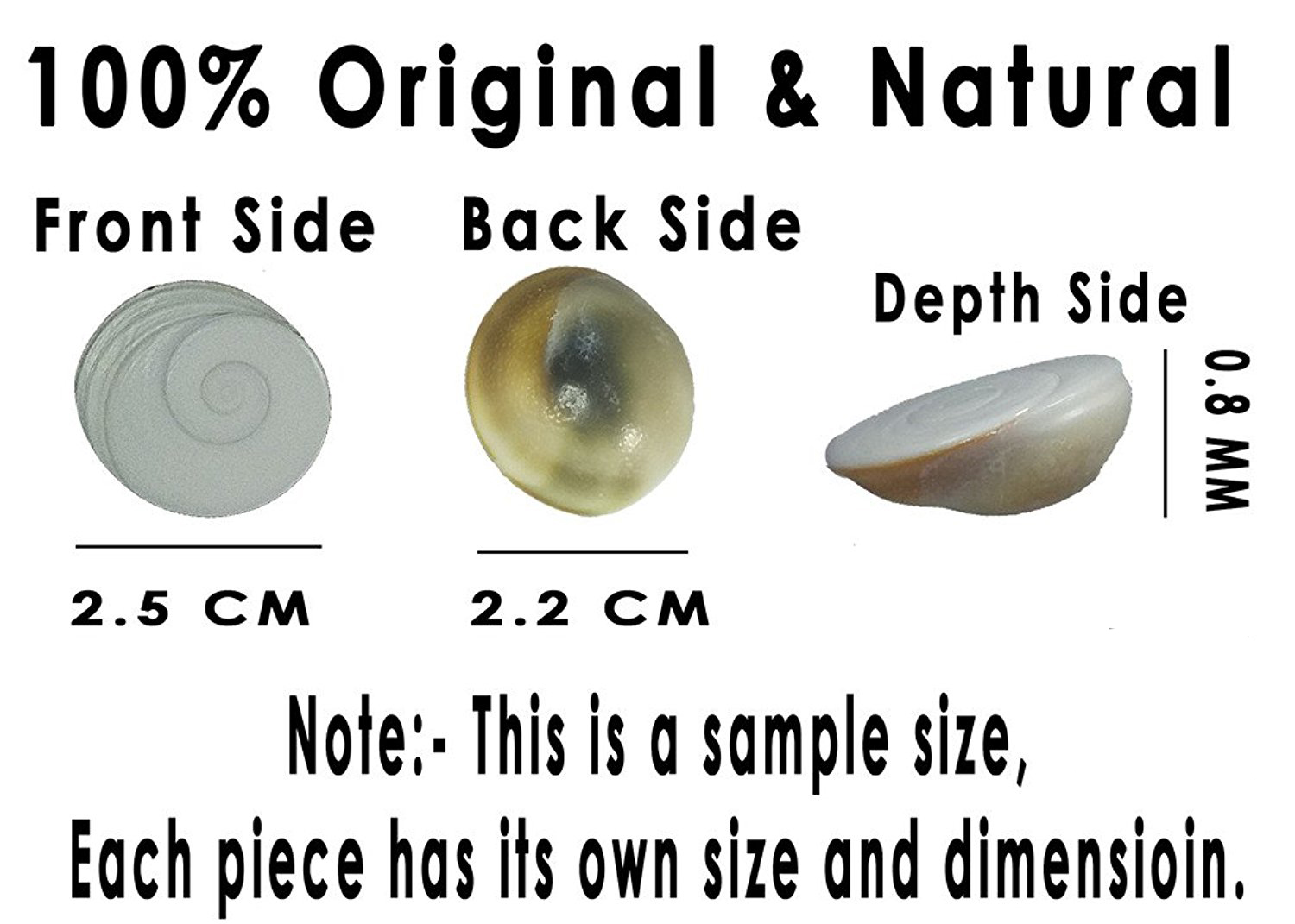 Buy Original Natural Gomti Gomati Chakra - 51 pieces best for Diwali ...