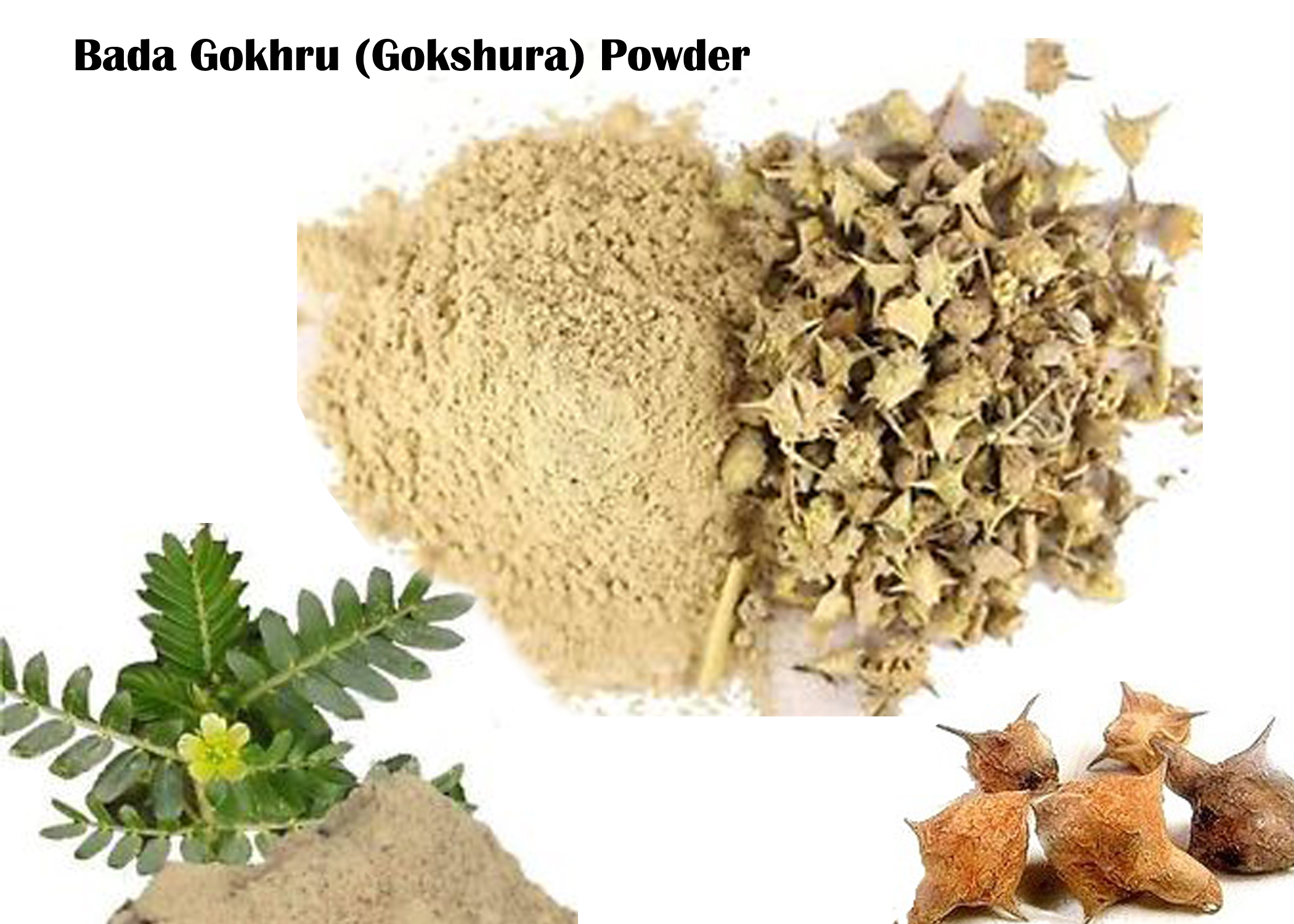 Buy SE Best Quality Bada Gokhru (Gokshura) Powder -100gms Online @ ₹249 ...