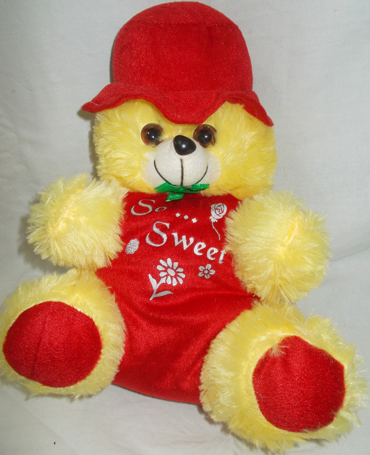 Teddy's Forever Soft cute Teddy with Red cap