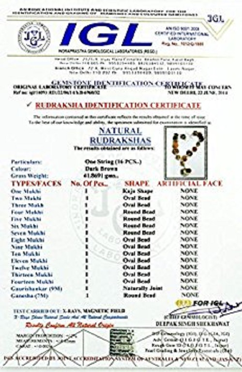Buy 1 to 14 mukhi java beads siddha mala rudraksha with divya shakti ...