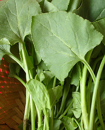 Buy Chuka, Chakwat, Chandan Batawa, fat hen, lamb's quarters, white ...