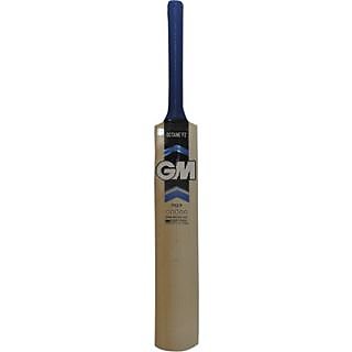 Buy Now Online |GM Octane F2 707 English Willow Cricket Bat Short Handle