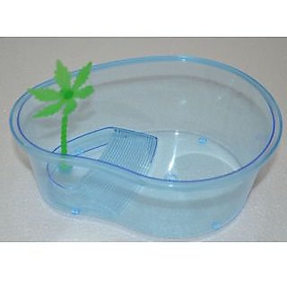 Online BEAUTIFUL PLASTIC TURTLE BOWL - SMALL TA060012 Prices ...