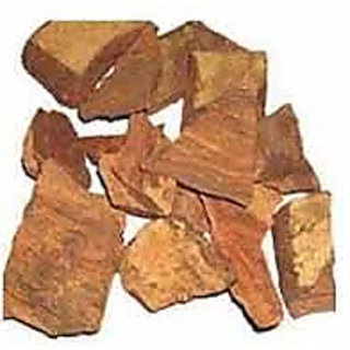 Buy 100gm Arjun chhal Arjun Chal Arjun Chaal Arjun Bark (Terminalia ...