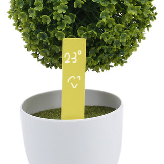 Buy 100 pcs Long Stick in Plastic Garden Plant Seed Labels Nursery ...