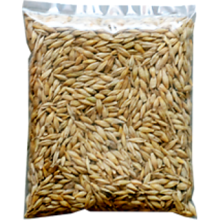 Buy Arghyam Jau Barley Grain Online @ ₹120 from ShopClues