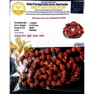 Buy Rudraksh 5 Mukhi Mala with 108 Manka - Original (with ...
