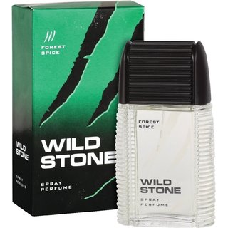Buy Wild Stone Forest Spice Eau de Parfum (EDP)- 100 ml Online @ ₹499 ...
