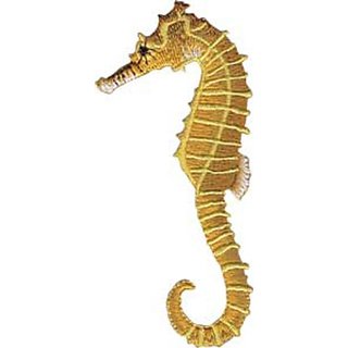Buy Application Seahorses Patch Online @ ₹1372 from ShopClues