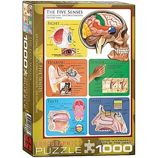 Buy EuroGraphics The Five Senses Puzzle (1000-Piece) Online @ ₹3195 ...