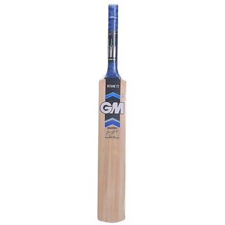 GM Octane F2 Maestro Kashmir Willow Cricket Bat at Best Prices ...