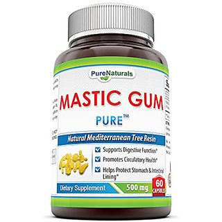 Buy Pure Naturals Mastic Gum, 500 Mg, 60 Count Online @ ₹3189 from ...