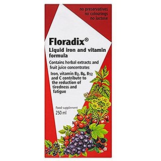 Buy Floradix Iron & Vitamin Formula Liquid 250ml Online @ ₹7831 from ...