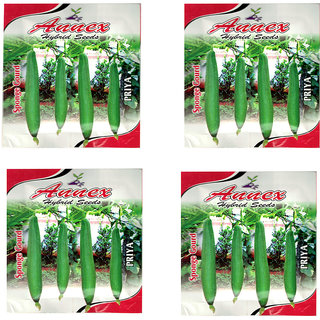 Buy Sponge Gourd / Tori Vegetable seeds pack of 4 Online @ ₹208 from ...