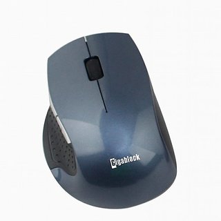Buy Wireless Optical Blue Mouse with Ergonomic 5 Buttons, 800/1600 dpi ...