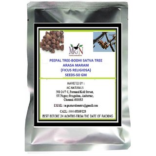 Buy PEEPAL TREE-BODHI SATVA TREE-ARASA MARAM (FICUS RELIGIOSA)SEEDS-50 ...