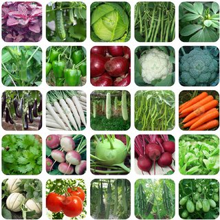 Buy Only For Organic 25 Variety Of Vegetable Seeds With 25 Grow Bags ...