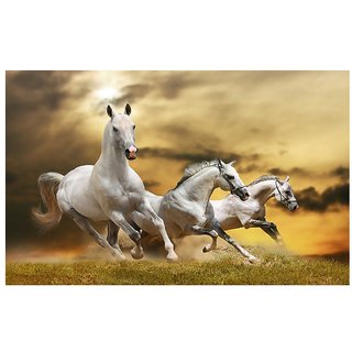 Buy Horse Poster - horse posters - running horse poster - horse wall ...