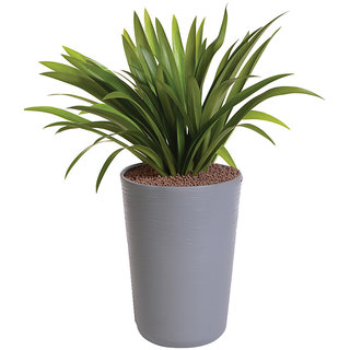 Buy Sereno Bello Plastic Flower Pot Round Planter (13 x 20) in Grey ...