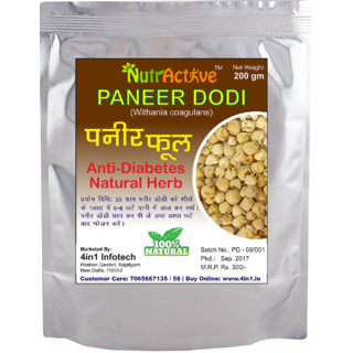 Buy , Paneer Dodi Indian Rennet Paneer Doda Anti -Diabetic and weight ...