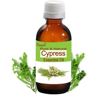 Buy Cypress Oil - Pure Natural Essential Oil (5 ml) Online @ ₹274 from ...