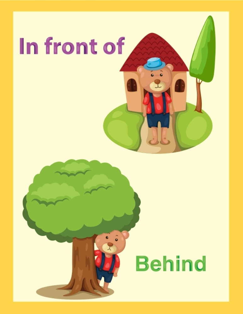 Buy front and behind learnig chart Alphabets and numbers wall sticker ...