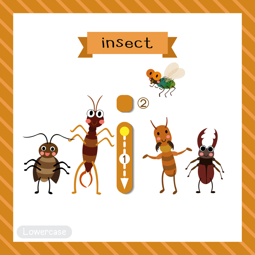 Buy insect chart of i Alphabets and numbers wall sticker paper poster ...