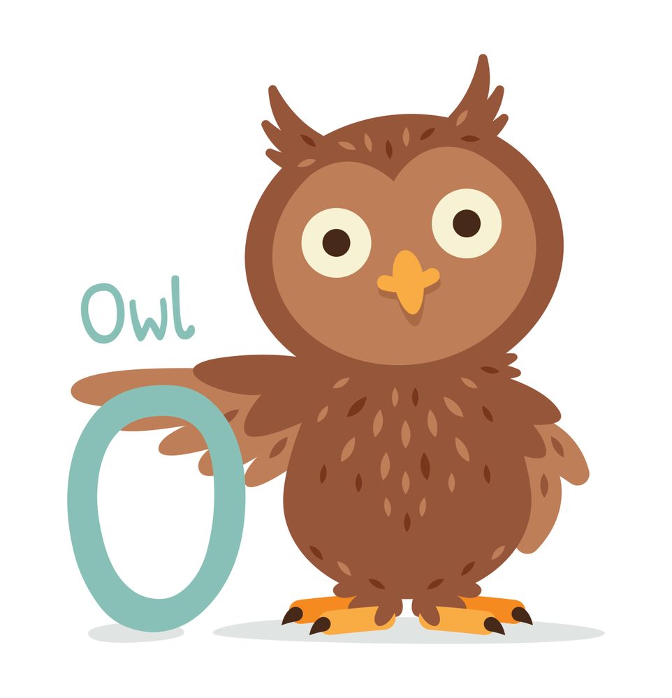 Buy O for Owl Alphabets and numbers wall sticker paper poster |Sticker ...