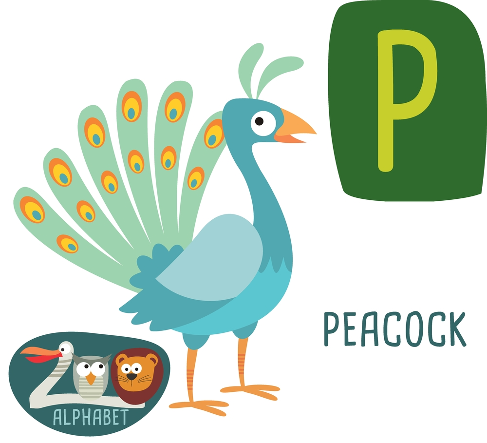 Buy p for peacock Alphabets and numbers wall sticker paper poster ...