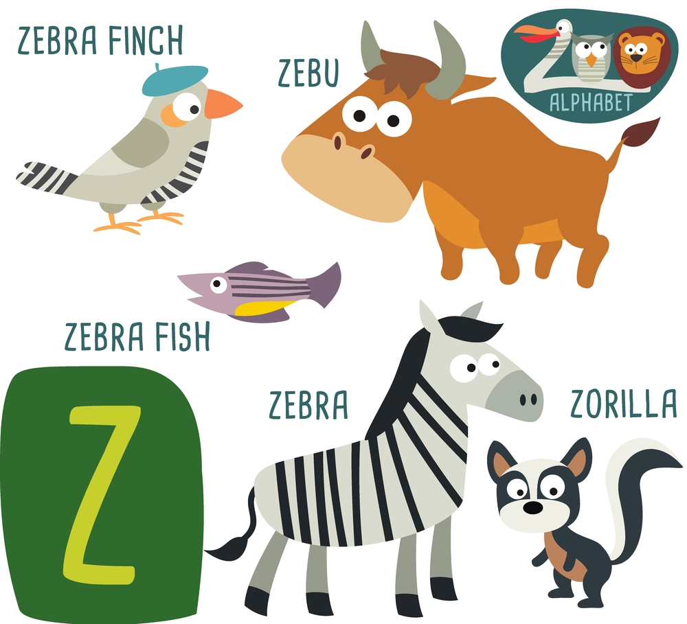 Buy alphabet chart of animal start with z Alphabets and numbers wall ...