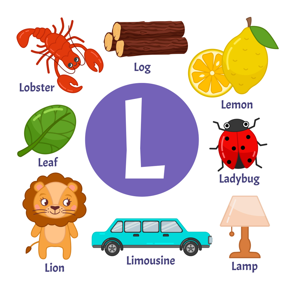 Buy alphabet l chart Alphabets and numbers wall sticker paper poster ...