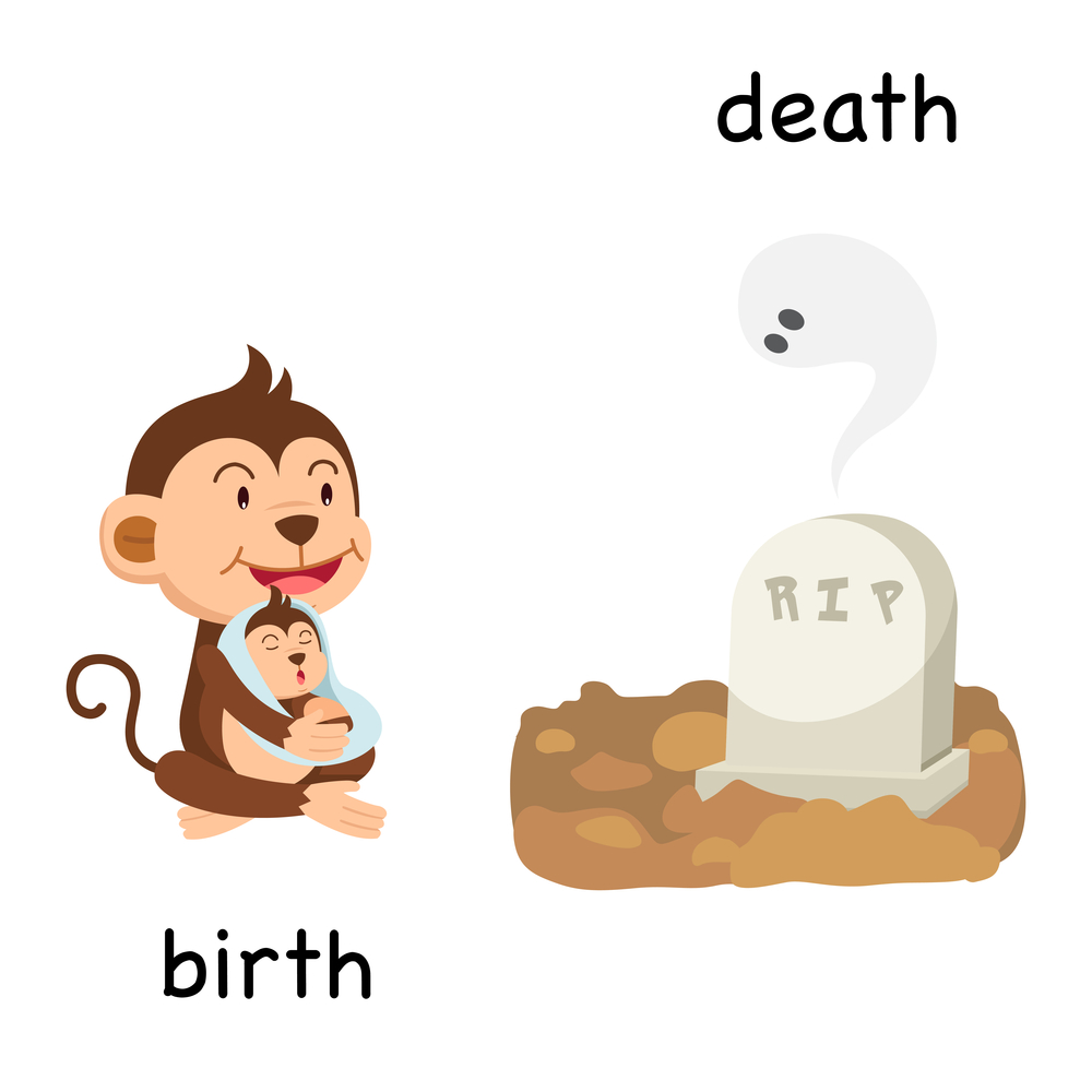 Buy difference between birth and death Alphabets and numbers wall ...