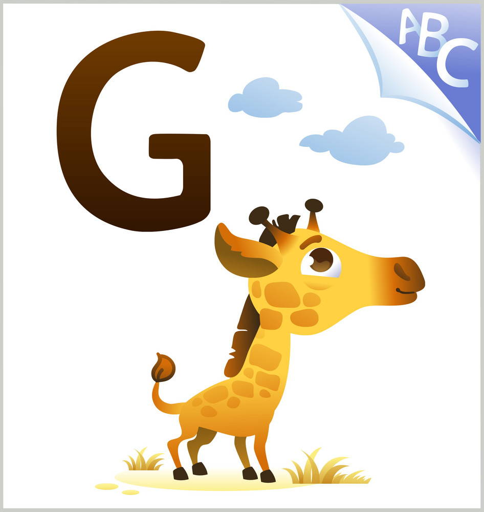 Buy alphabet g for giraffe |Kids Room Posters| |Sticker Paper Poster ...