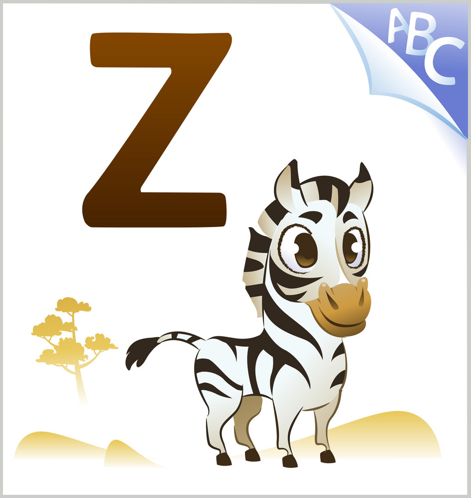 Buy alphabet z for zebra |Kids Room Posters| |Sticker Paper Poster ...