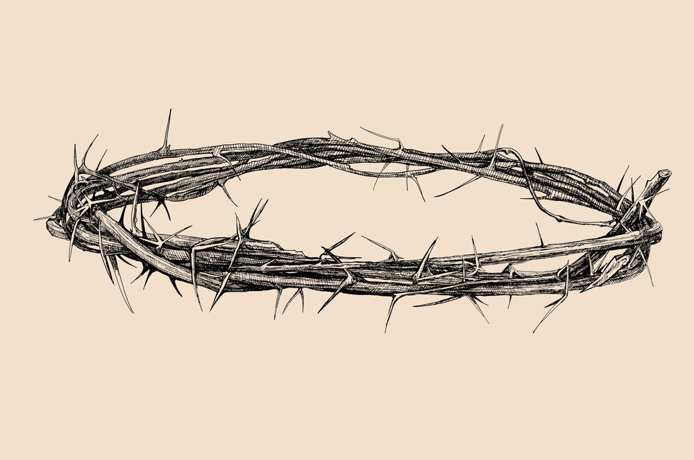 Buy crown thorns |(size:12x18 inch) |Sticker Paper Poster, 12x18 Inch ...