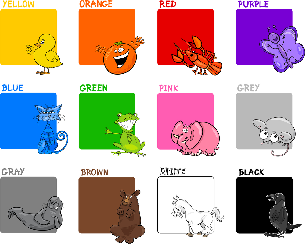 Buy 5 Ace animal color chart wall sticker poster(size:12x18 inch ...