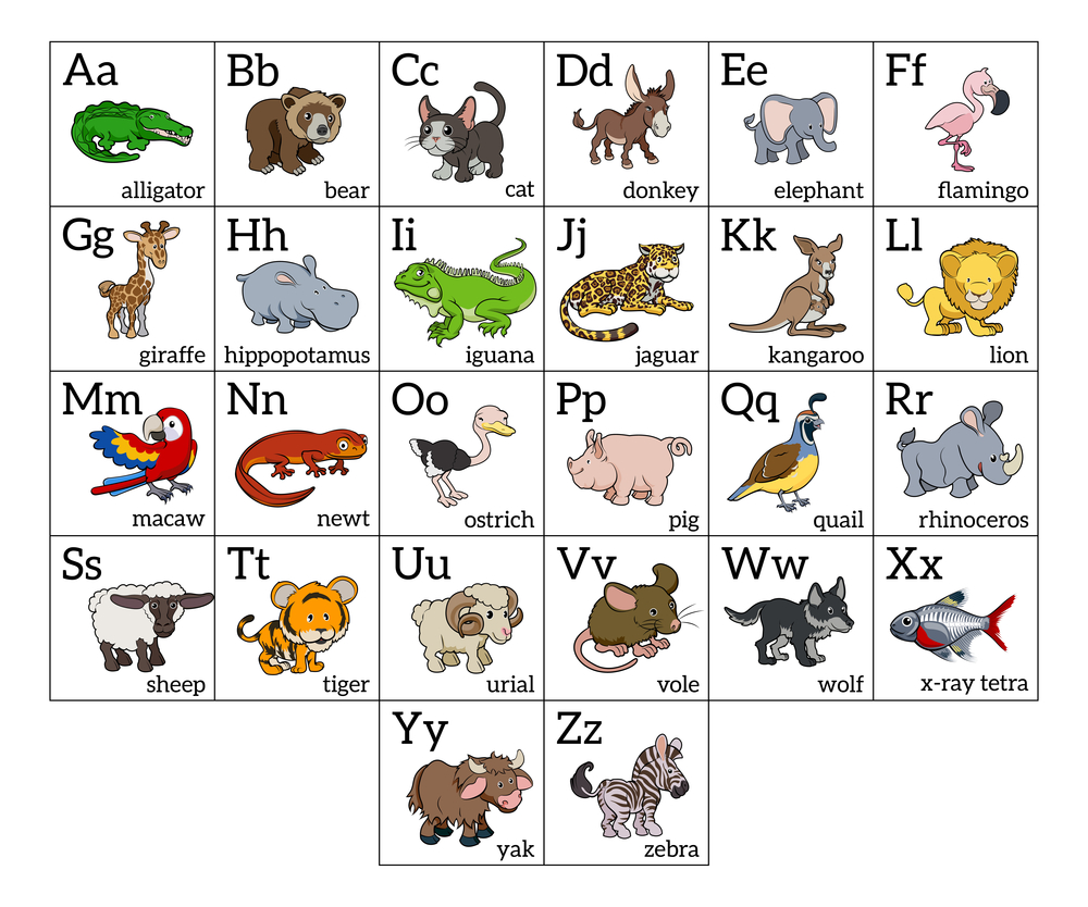 Buy 5 Ace animal chart of alphabet wall sticker poster(size:12x18 inch ...