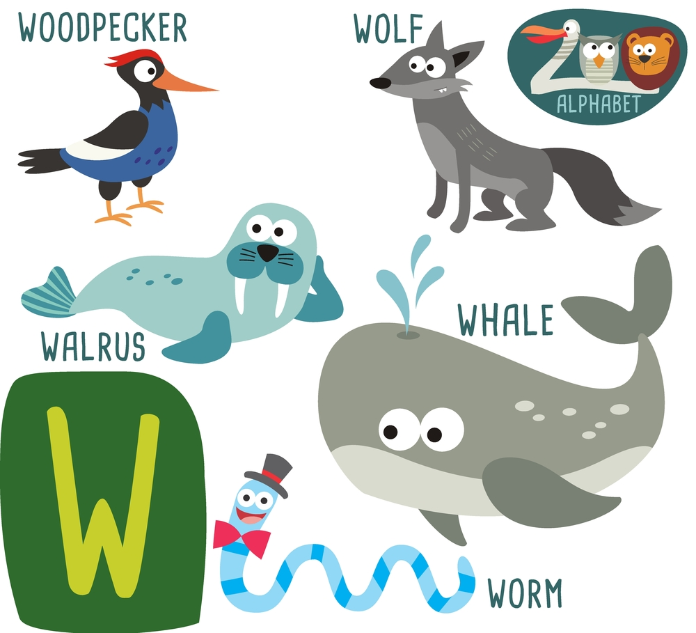 Buy 5 Ace alphabet chart of animal start with w wall sticker poster ...