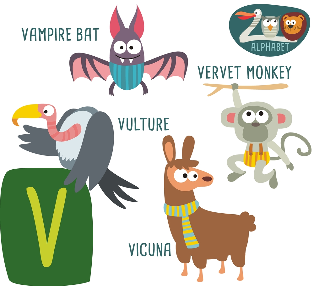 Buy 5 Ace alphabet chart of animal start with v wall sticker poster ...