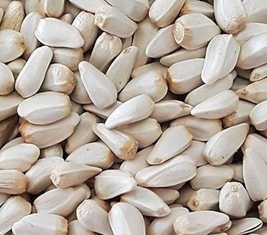 Buy Safflower Or Kusum Dana Seed Fresh Natural - Good Food For Bird ...