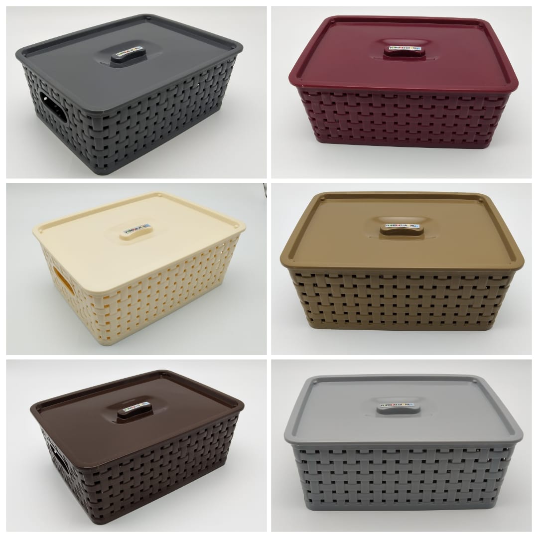 Buy Evershine Plasto World Plastic Storage Basket Box With Lid (Octane ...
