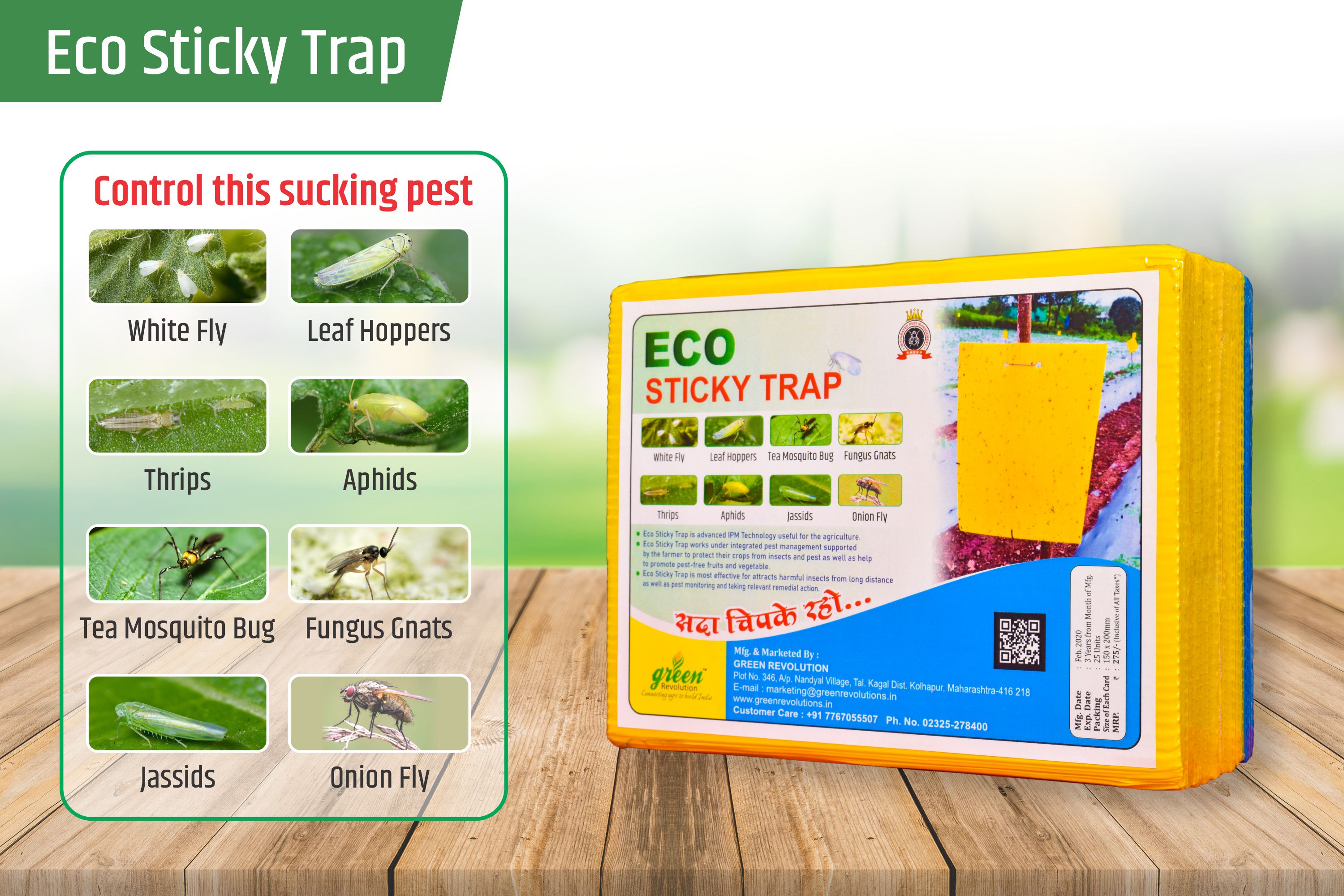 Buy ECO Sticky Trap for Garden/Farm. Glue Trap, Yellow Sticky Trap for ...