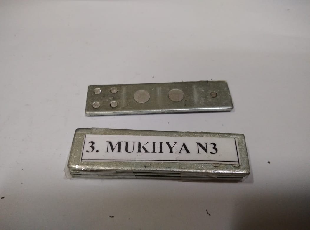 Buy Shubh Sanket Vastu Dev Dives Mukhya Vastu Remedies Set of 3 Strip ...