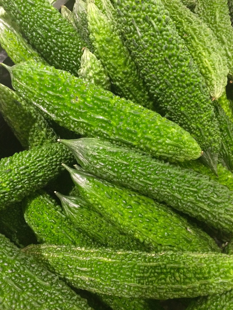 Buy Long Hybrid Karla Kerala Bitter Gourd Vegetable Seeds Best Quality ...