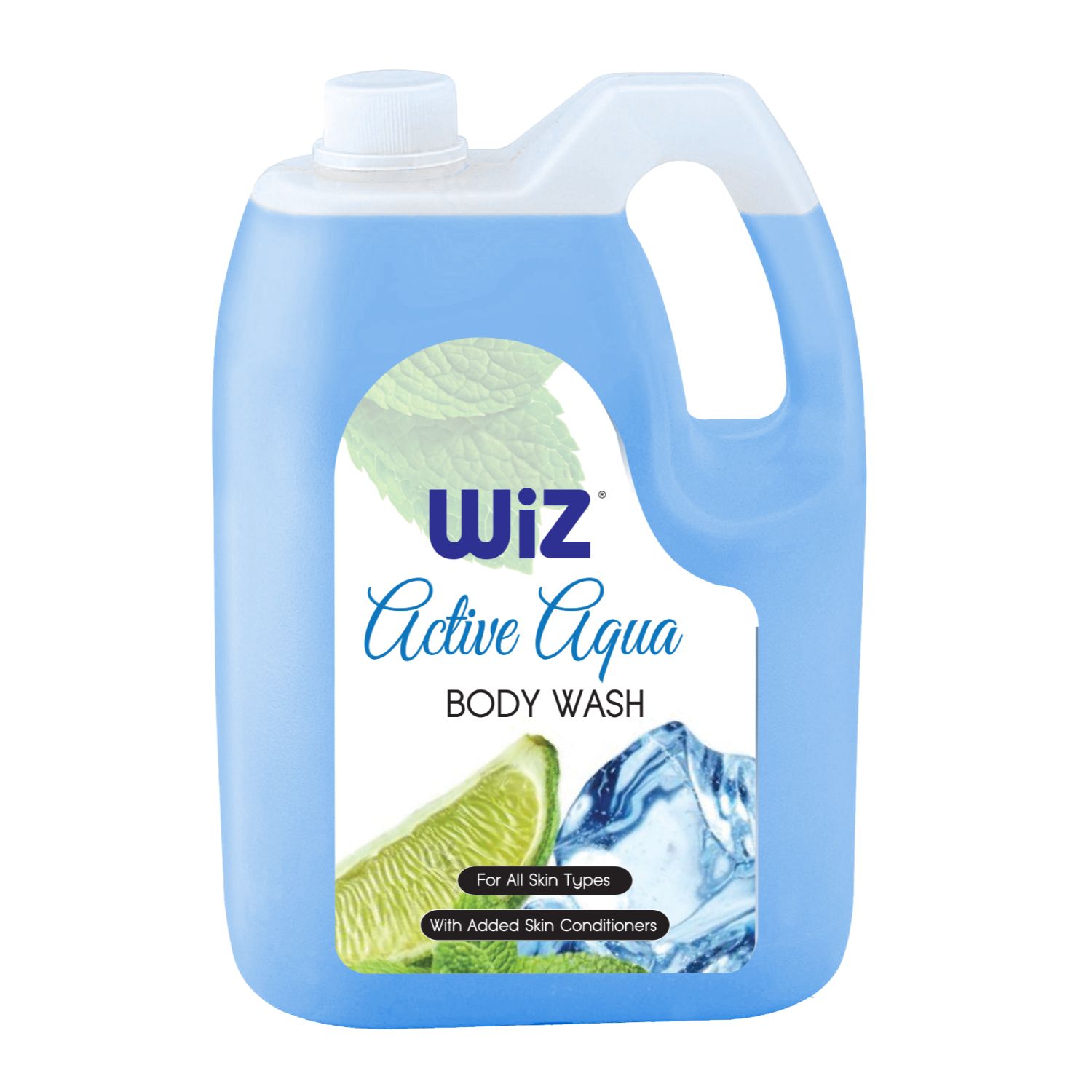 Buy WiZ Active Aqua Classic Body Wash with Added Skin Conditioners ...