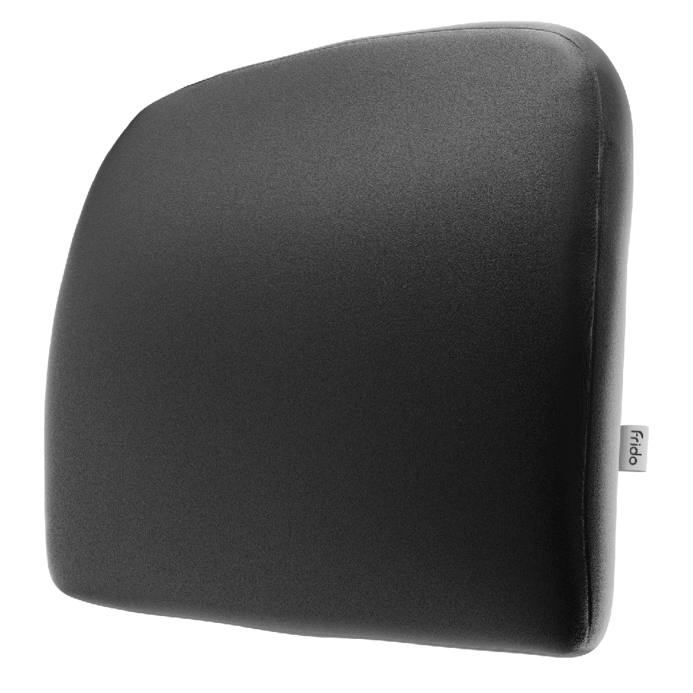Buy Frido Memory Foam Slim Lumbar Cushion provides Lumbar Support and ...