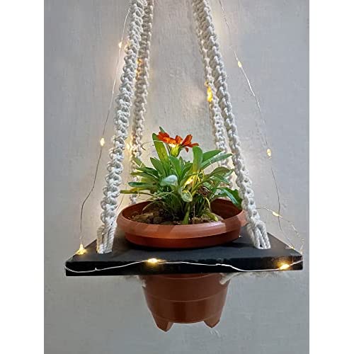 Buy Khush Its Amazing Plant Macrame Hanger Shelf Indoor Hanging Planter ...