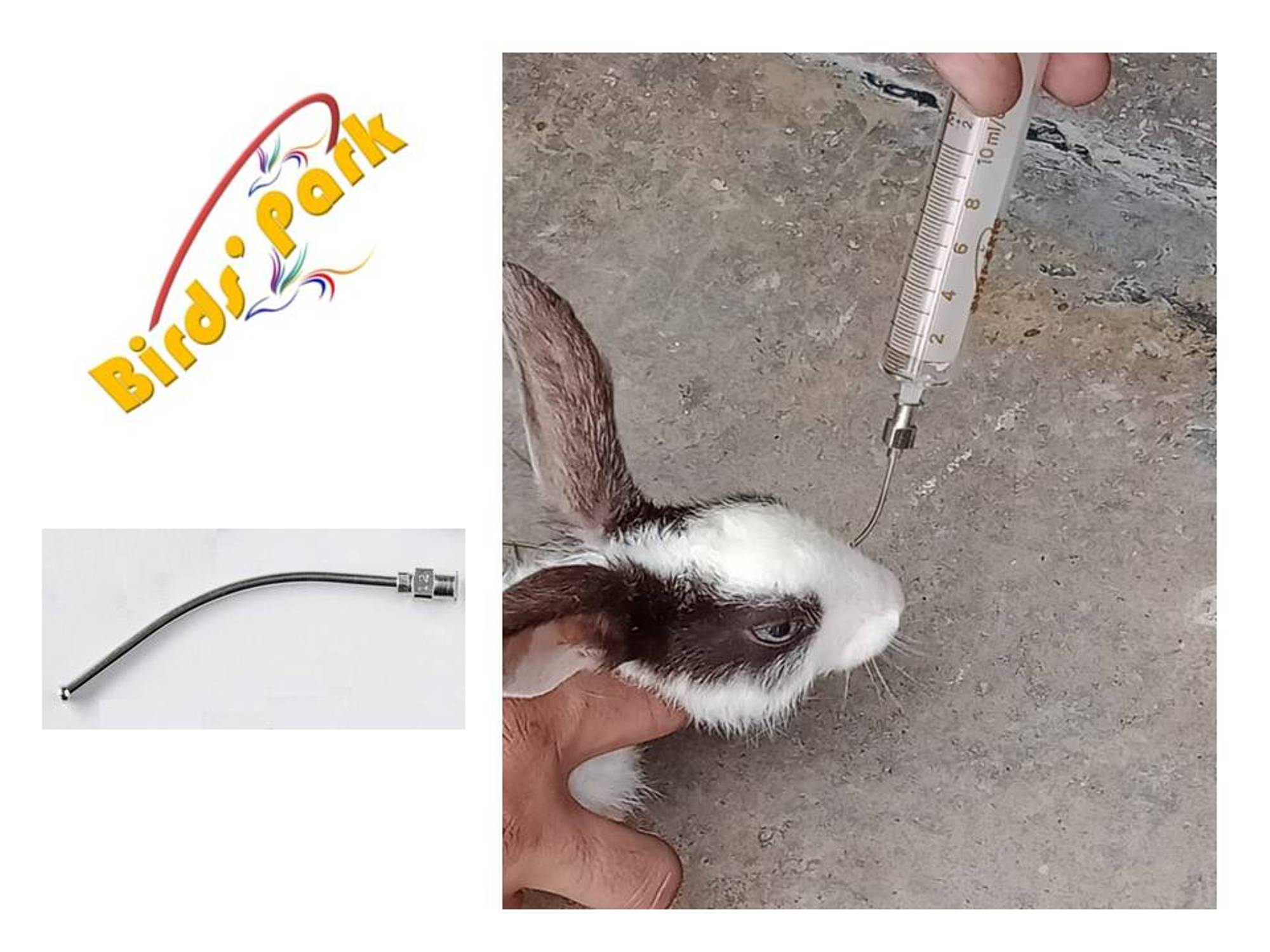 Buy Feeding Dosing tubes for Rabbit-Good steel reusable Ball tip curve ...
