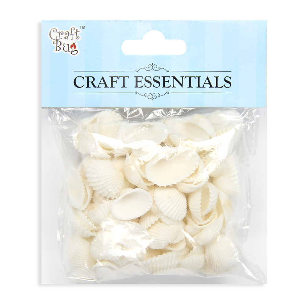 Buy Sea Shells -Arca Granosa Online @ ₹100 from ShopClues